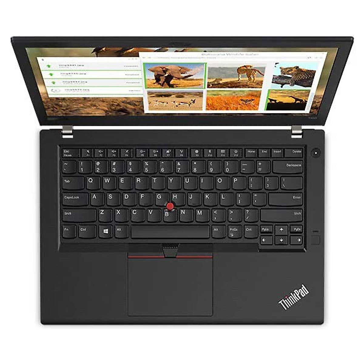 Lenovo ThinkPad T480 14" HD Business Laptop, Intel Core i5-8350U, 16GB DDR4 RAM, 960GB SSD, Fingerprint, Backlit Keyboard, CAM, Windows 10 Pro 64-bit (Renewed)