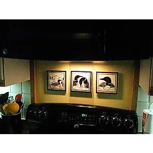 Loon Tile with Mountains - Wall Plaque - Trivet, WL-1