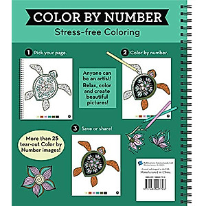 Brain Games - Color by Number: Stress-Free Coloring (Green)