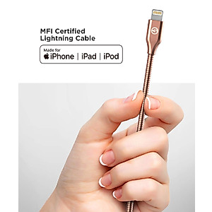 GALVANOX (2 Pack) Pet Proof iPhone Charger - Braided Metal Lightning to USB-C Charging Cables [Apple MFi Certified] Ultra Durable ChewProof Cord (4 Ft.) Compatible with iPhone and iPad