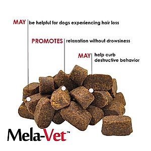 Mela-Vet Melatonin Calming Soft Chews for Dogs, Vet-Formulated to Provide Relaxation & Anxiety Relief, Helps Reduce Stress & Tension-Supports Healthier Skin & Coat.120 Tasty Soft Chews.