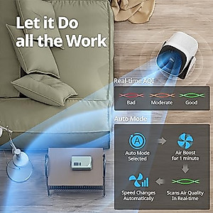 Airmega Aim 2-in-1 Oscillating Fan & True HEPA Air Purifier