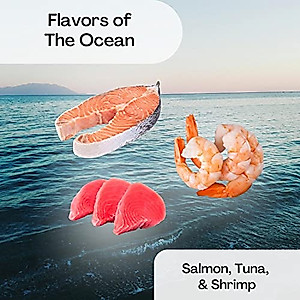 Friskies Dry Cat Food Seafood Sensations Bundle | Includes 2 Bags of Friskies Dry Cat Food Salmon, Tuna, and Shrimp Flavors (3.15 LB) | Plus Paw Food Scoop!