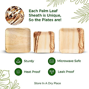 TRULY ECO 8 Inch 40 Square Palm Leaf Plates – Compostable, Biodegradable, Eco-Friendly – Like Bamboo Disposable Plates for Party, Wedding, Picnic – Sturdy, Heat Proof & Leak Proof