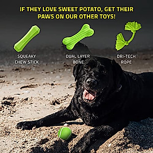 Playology Dog Balls for Medium and Large Dogs (10lbs & Up) - Dog Ball for Aggressive Chewers - Squeaky Toy, Engaging All-Natural Sweet Potato Scented - Non-Toxic Rubber Dog Ball Toys