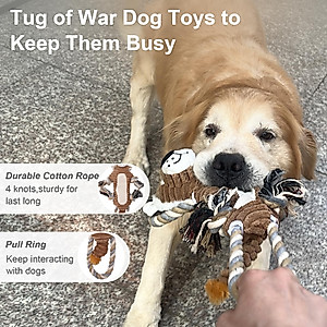 Nopisen Dog Squeaky Toys,Plush Toy for Aggressive Chewers,Indestructible Dog Squeaky Toys,Tug of War Dog Toys,Stuffed Animals Toys with Cotton Material and Crinkle Paper (Lion)