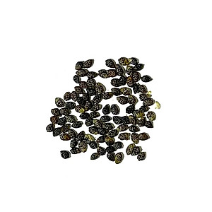 Seed Needs, Blue Passion Flower Seeds - 100 Heirloom Seeds for Planting Passiflora caerulea - Open Pollinated, Tropical Vine (1 Pack)