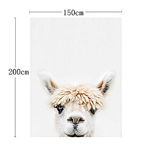 QH 58 x 80 Inch Llama Pattern Super Soft Throw Blanket for Bed Couch Sofa Lightweight Travelling Camping Throw Size for Kids Adult All Season