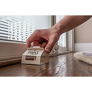 S&T INC. 512501 30pk Insect Traps, Brown Recluse, Hobo Spiders, Black Widows, White, 30 Count