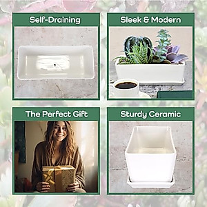 BambooMN Ceramic Succulent Pots - 1 Pot - Short Rectangle - with Ceramic Tray - White - 10.1"