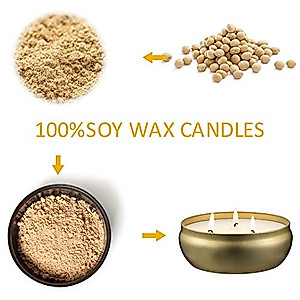 Scented Candles Gift Set, 3 x14 oz Soy Wax 3-Wick Aromatherapy Candle, Stress Relief Gifts for Women, Candles for Home Scented, Ideal for Birthday, Christmas, Thanksgiving