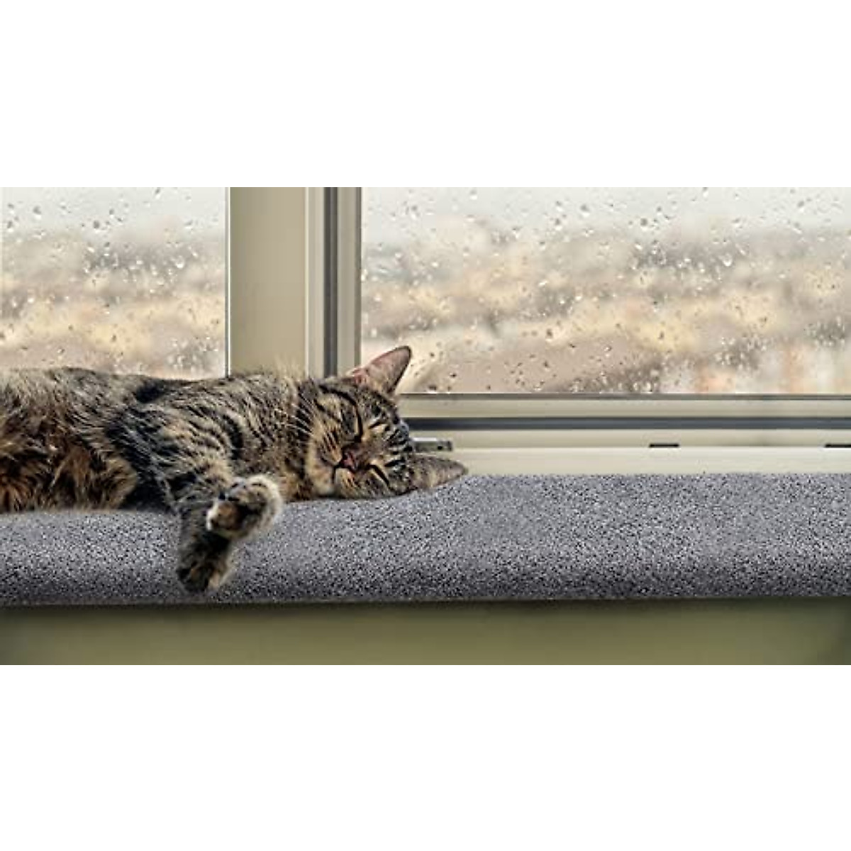 PURRCHED Cat Perch, Carpeted Cat Window Perch, Cat Bed, Cat Seat, Made in The USA, Sturdy, Safe and Easy to Install.