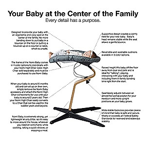 Nomi Baby Coffee with Pink Cushion, Newborn Bouncer Accessory for High Chair, Seamlessly Adjusts from Lay Flat to more Upright Position, Bouncer Seat Elevates Baby to the Height of the Table, 5.5 lb