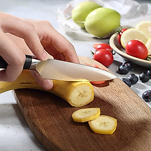 PAUDIN Paring Knife, 3.5 inch Sharp chef's Knife, High Carbon German Steel Fruit Peeling Knife with Ergonomic Triple Rivet G10 Handle, Classic Forged Kitchen Knife