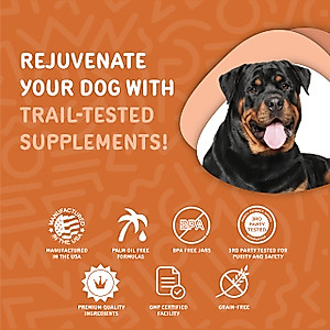 waggedy Hip and Joint Turmeric - Dog Supplements for Joints with Glucosamine & MSM — All-Natural Daily Glucosamine for Dogs to Improve Flexibility & Mobility (2 Packs of 60 Dog Chews Each)