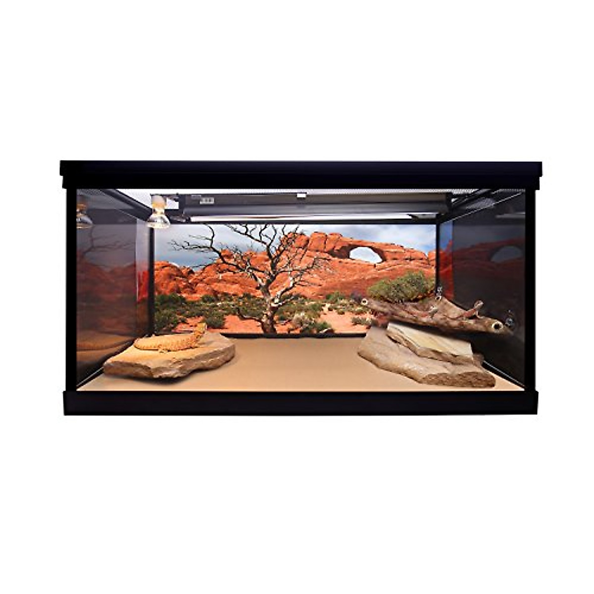 Carolina Custom Cages Natural Habitat Rocks, Painted Desert (one Large Size)