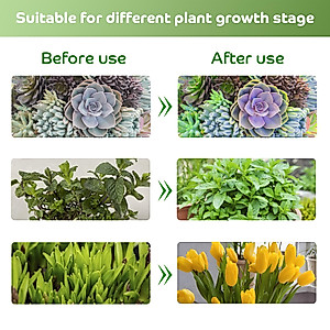 Shyineyou Grows Lights for Indoor Plants Full Spectrum, Plant Light for Indoor Plant with 3/9/12H Timer, 3 Switch Modes, Dimmable Plant Grow Light