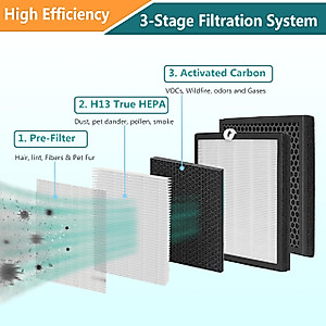 Lhari G3 Air Purifier Replacement Filter, Compatible with AMEIFU G3 Sferf-30 (FXAP2W) Air Purifier, VEWIOR A3 A3N Air Purifier and Tailulu HQZZ-260, 3-in-1 H13 True HEPA Air Cleaner Filter, 2 Pack