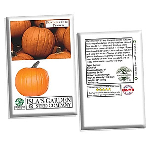 Howden's Field Pumpkin Seeds for Planting, 20+ Heirloom Seeds Per Packet, (Isla's Garden Seeds), Non GMO Seeds, Botanical Name: Cucurbita Pepo, Great Home Garden Gift