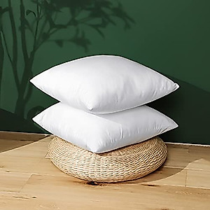 OTOSTAR Premium Outdoor Waterproof Throw Pillow Inserts 20 x 20 Inches Water Resistant Pillow Inserts Square Decorative Pillows for Couch Sham Cushion Stuffer Garden Furniture Patio Bench,Pack of 2