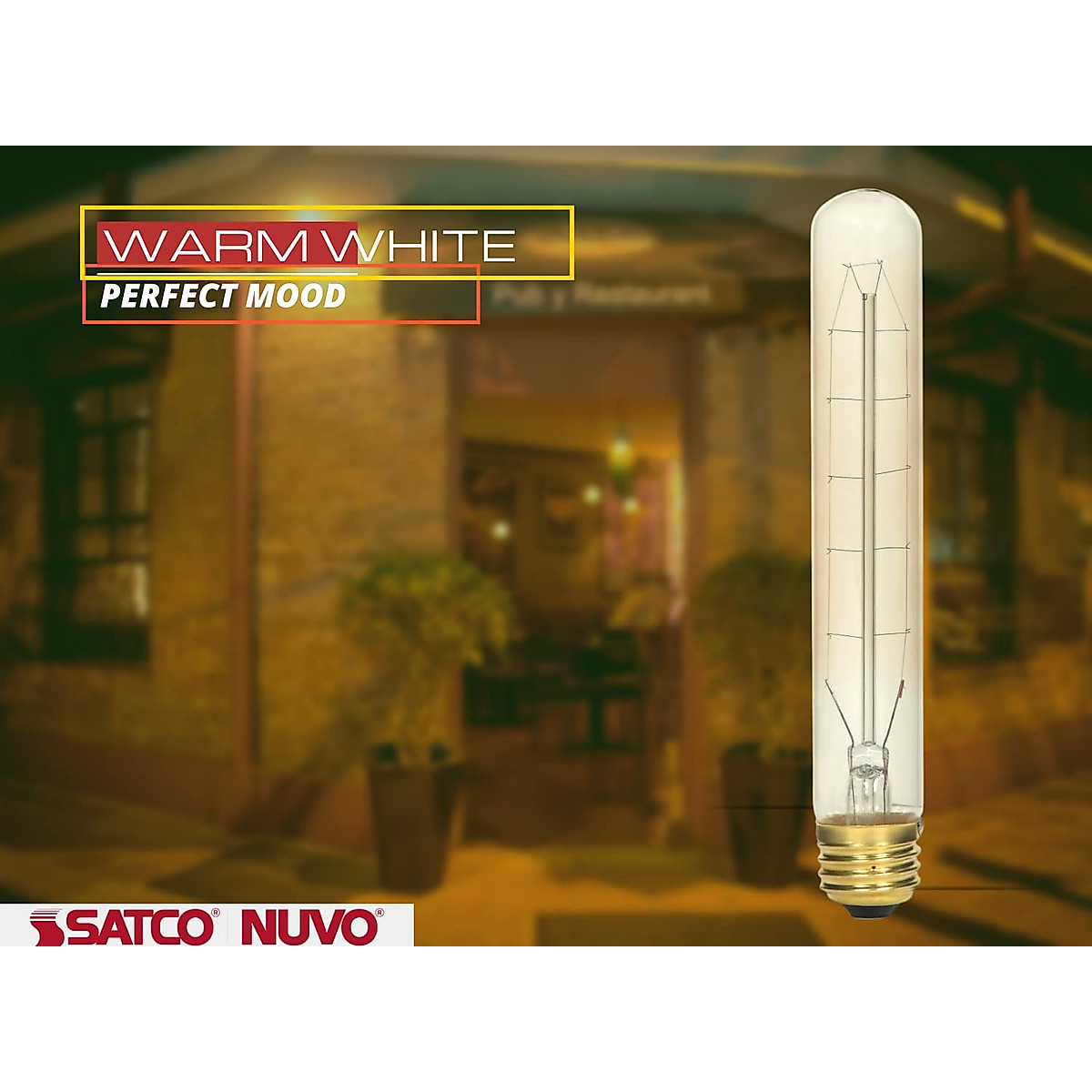 Satco 60 Watt T9 Incandescent; Clear; 3000 Average Rated Hours; 230 Lumens; Medium Base; 120 Volt for Pendant Lighting Fixtures, Decorative for Dining Room, Studio, Lounge, Restaurants (6 Pack)