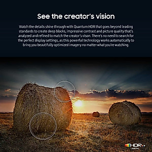 Samsung Q60C 55" 4K HDR Smart QLED TV QN55Q60CAFXZA 2023 Model (Renewed)