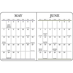 Floriography 12-Month 2023 Monthly/Weekly Planner Calendar: Secret Meaning of Flowers