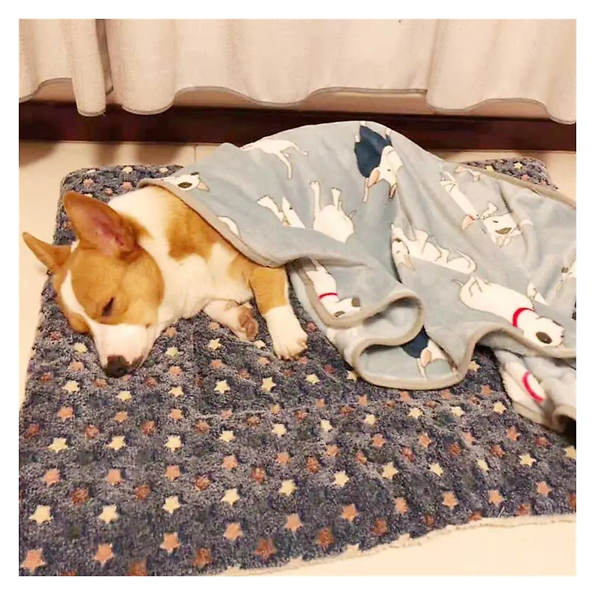 ITOMEN Pet Bed Pet Blanket Winter Thickened Soft Pet Fleece Pad Cat and Dog Pad Kennel Blanket Pet Bed Quilt Comfort (Color : Blue Star, Size : 32x25cm)
