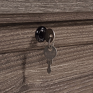 Sauder Miscellaneous Storage cabinet, L: 29.69" x W: 16.34" x H: 71.10 ", Glacier Oak