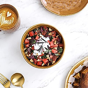 Stone Lain Porcelain 16 Piece Dinnerware set, Thumbprint Pattern, Brown