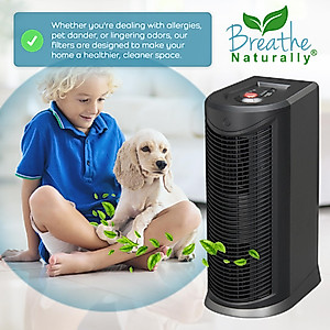 Breathe Naturally - Extra Thick Carbon Filter Replacement Compatible with Hoover Air Purifiers - Carbon Pre-filters Compatible with Hoover AH60010, wh10100 and wh10200 - Made in the USA (4 pack)