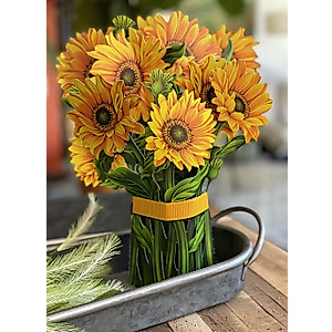 Freshcut Paper Pop Up Cards, Paper Flower Bouquet 3D Popup Greeting Cards with Note Card & Envelope, Birthday Card, Anniversary Card, Get Well Gifts for Women, 12" Sunflowers