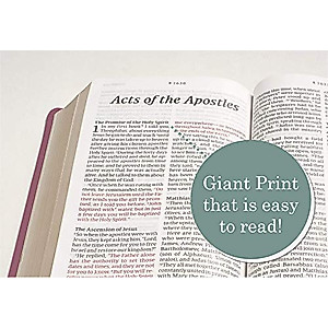NLT Personal Size Giant Print Bible, Filament-Enabled Edition (LeatherLike, Peony Pink, Red Letter): Includes Free Access to the Filament Bible App ... Notes, Devotionals, Worship Music, and Video