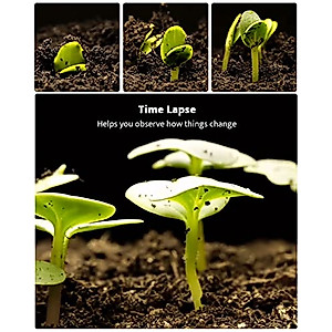 usogood Trail Camera 36MP 4K 30fps Game Camera with Night Vision Motion Activated IP66 Waterproof, 65ft 120° Wide Angle Detection Hunting Camera, for Outdoor Garden Backyard Wildlife Monitoring