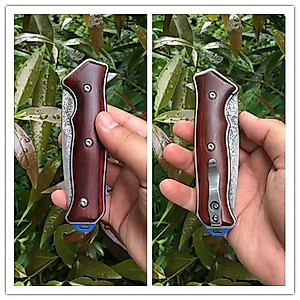 ALBATROSS HGDK001 EDC Classic Damascus Folding Camping Pocket Knives With Liner Lock,Cocobolo Wood Handle,Gifts/Collections