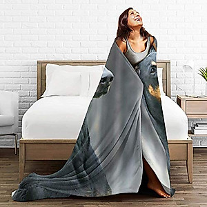 Luxury Throw Blanket All Season Throw Blanket Fashion German Doberman Pinscher Plush Throw Blankets for Living Room, Home, Sofa, Office, Camping 50 x 60 inch