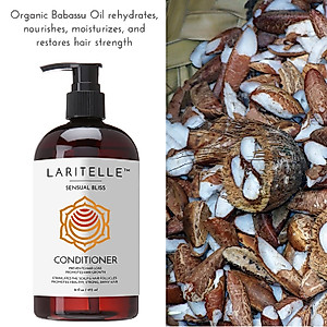 Laritelle Organic Conditioner Sensual Bliss 16 oz