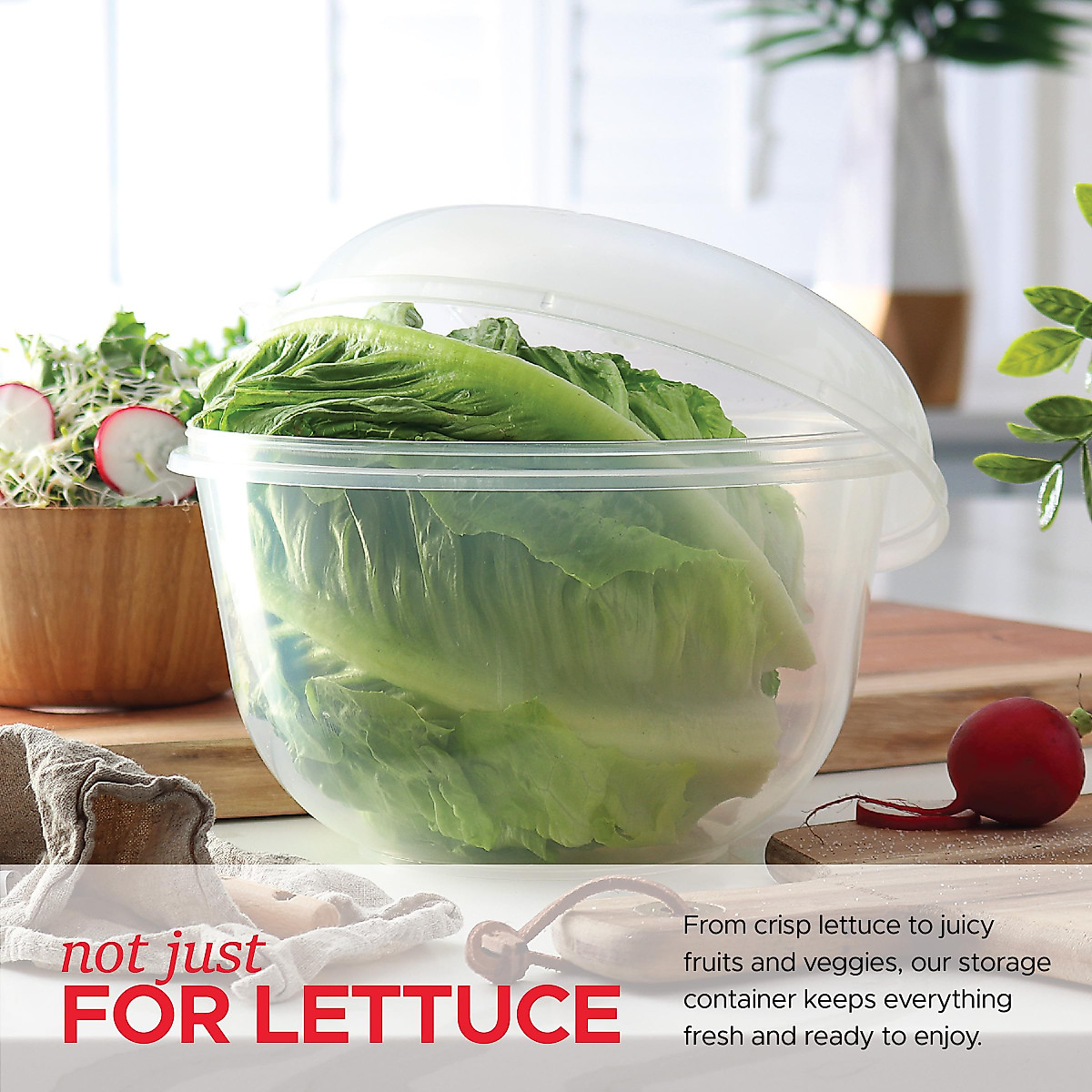 Tafura Lettuce Keeper for Fridge, Lettuce Crisper, Vegetable Saver with Cover, Lettuce Storage Container with Lid, Crisp and Fresh Greensaver, Salad Saver Box.