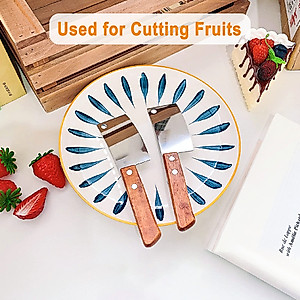 Rongkup 2pcs Mini Knife Set Package Box Cutter Tiny Knife Chef Kitchen Cheese Knife