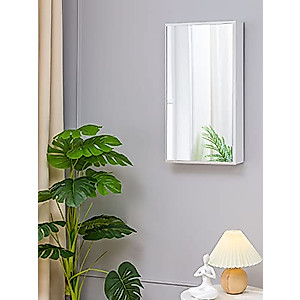 LUXFURNI Small Mirror Jewellery Cabinet Wall-Mount/Door-Hanging Armoire, Lightweight Storage Organizer