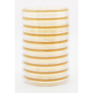 Tryptic Soy Agar (TSA), USP, a General Growth Medium for Microorganisms, 10 Plates Per Pack, by Hardy Diagnostics