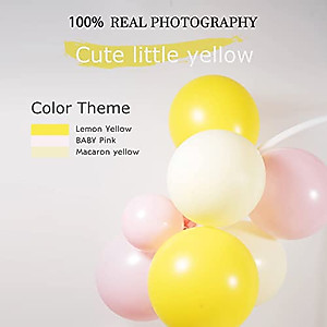 Pastel Yellow Balloon Garland Kit 127Pcs Lemon balloon arch For baby shower Lemonade party main squeeze bridal shower decorations