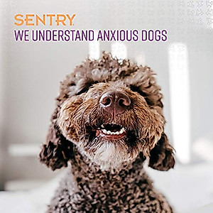 SENTRY PET Care Sentry Calming Spray for Dogs, Uses Pheromones to Reduce Stress, Easy Spray Application, Helps Dogs with Separation, Travel, Loud Noises, and Anxiety, Packaging May Vary