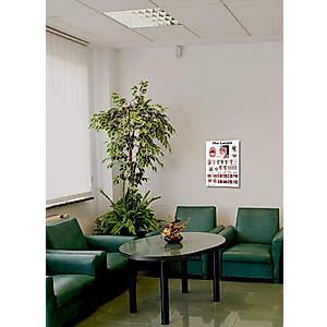 Larynx Poster, Voice, Education, Vocal Folds, Mouth, Head Cutview, Vocal Pathology, Size 12x17inch