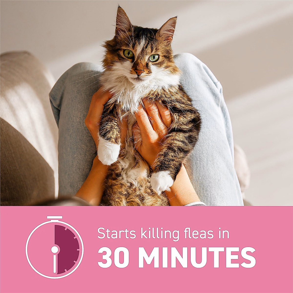 Capstar (nitenpyram) for Cats, Fast-Acting Oral Flea Treatment for Dogs 2-25 lbs, Vet-Recommended Flea Medication Tablets Start Killing Fleas in 30 Minutes, 12 Doses