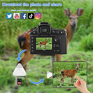 TIANSONG SD Card Reader,Memory Card Reader for iPhone USB C to Micro SD Card Adapter Support SD/Tf Card Trail Game Camera Viewer for iPhone 15/16 Mac iMac Macbook Pro/Air iPad Pro Android Phone Tablet