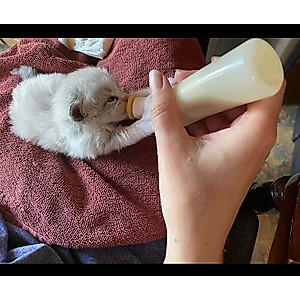 Xuandea 5Pcs Blue Mini Pet Feeding Silicone Nipple with Bottle for Puppy Cat or Other Pets