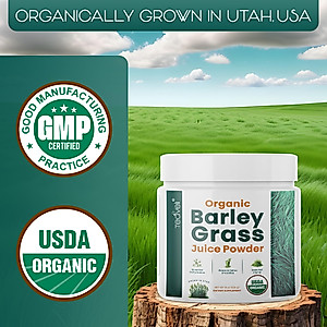 Organic Barley Grass Juice Powder– Utah Grown Raw Green Juice & Barley Grass Juice Extract for Detox- Complements Wheatgrass Juice- Made in USA to EverRaw® Standards with BioActive Dehydration™- 8 oz