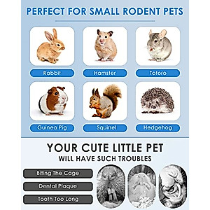 Bissap 36PCS Bunny Chew Sticks, Mixed Natural Timothy Hay Carrot Purple Potato Flowers Rabbit Treats for Bunny Chinchilla Guinea Pig Hamster and Other Small Animals Molar Snack Toy