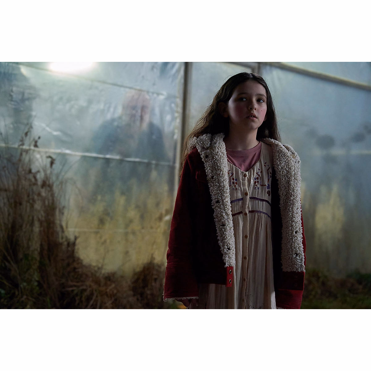 Wolf Man (2025) - Collector's Edition 4K Ultra HD + Blu-ray + Digital